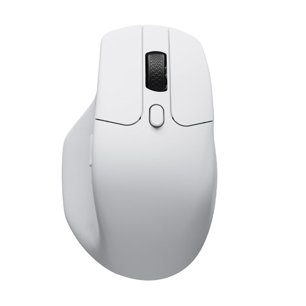 Ürünler – Wraith Studio